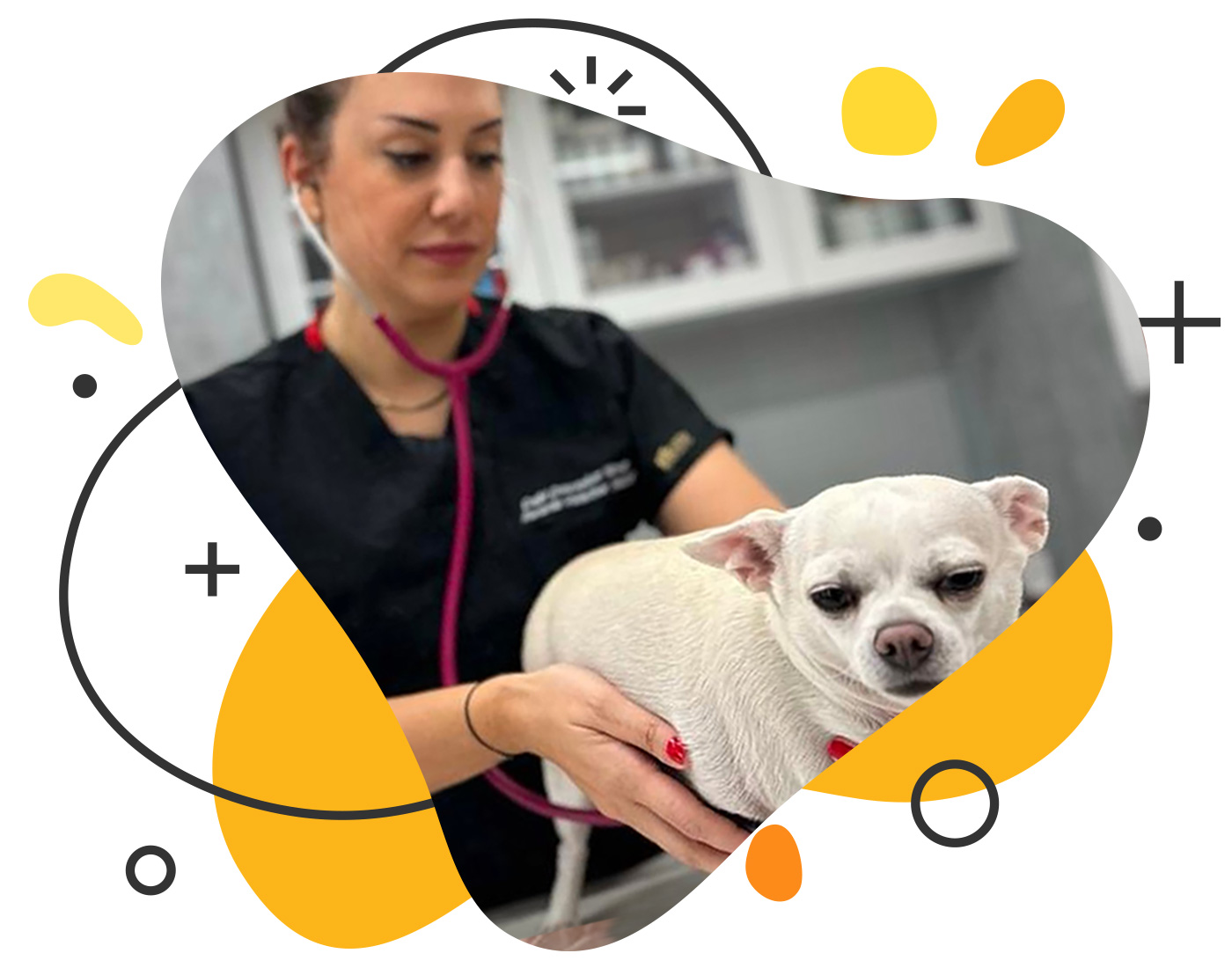 Muayene ve Teşhis – Minouvet Muayene ve Teşhis – Minouvet